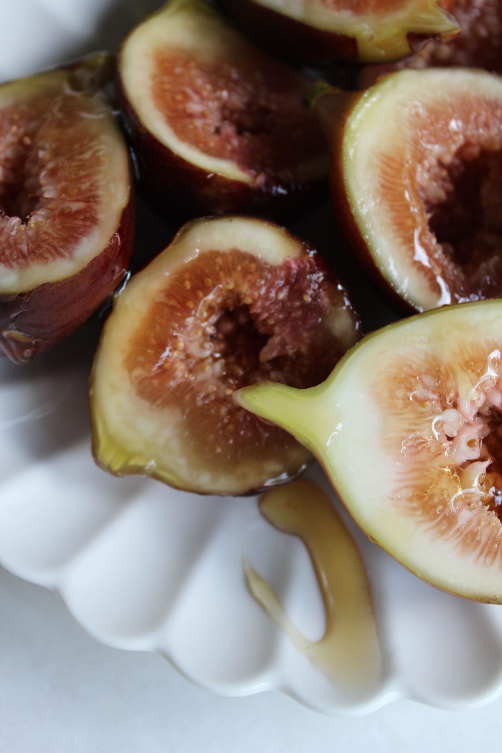 Figs in Chinese Traditional Medicine – FIGARA11